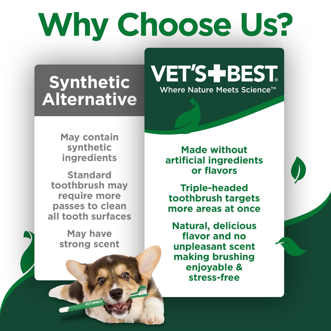 Dog Enzymatic Dental Care Set | Vet's Best