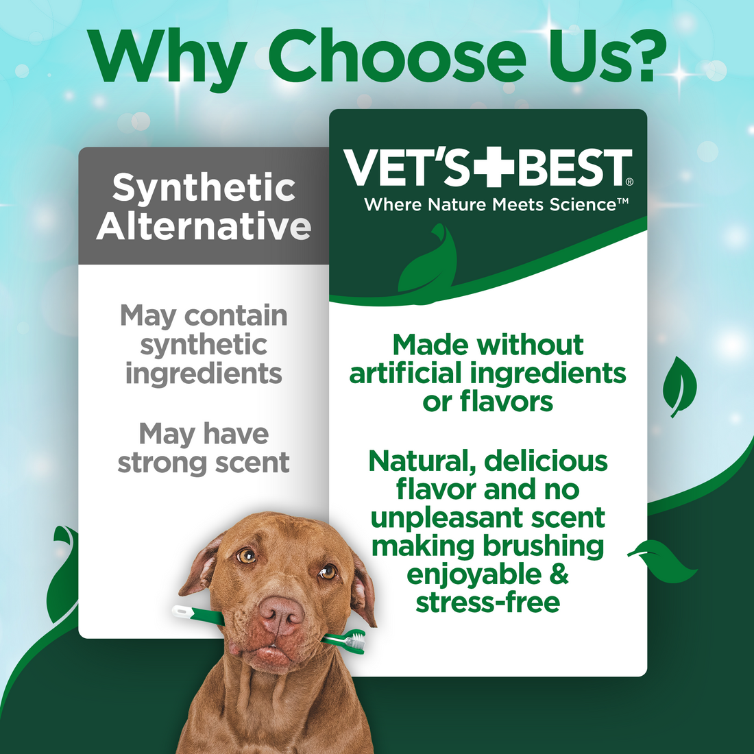 Dog Enzymatic Toothpaste | Vet's Best