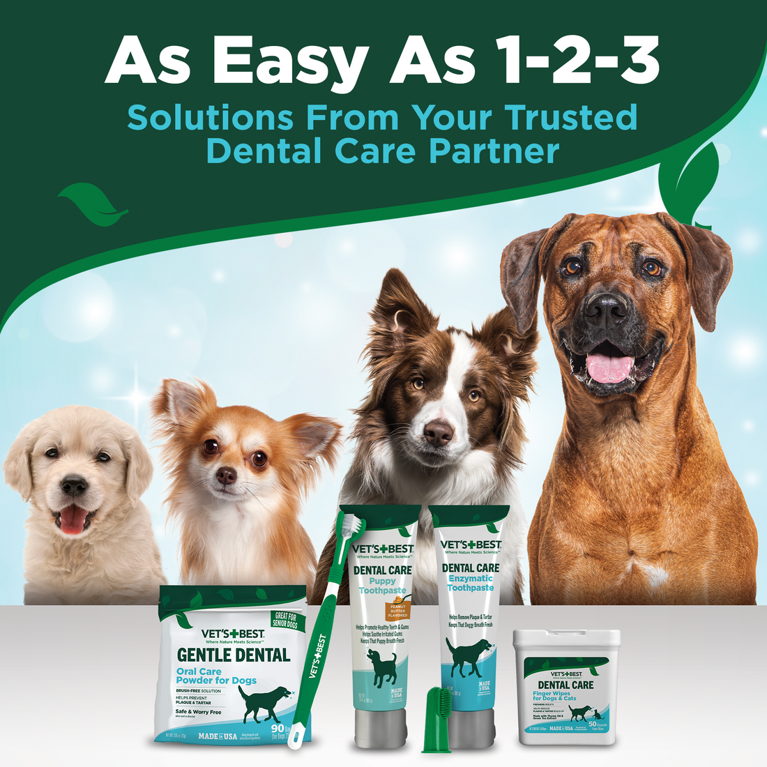 Dog Enzymatic Toothpaste | Vet's Best